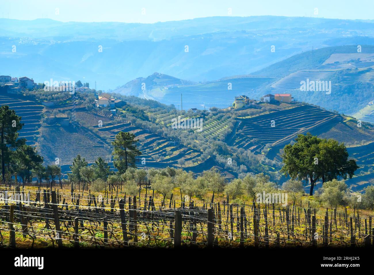 Valley of douro hi-res stock photography and images - Alamy
