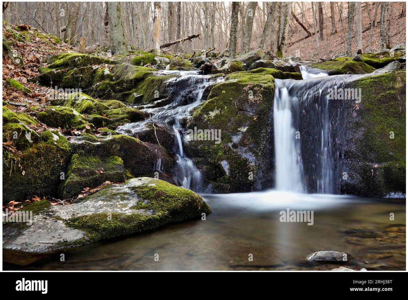 Waterfall moss and rocks Cut Out Stock Images & Pictures - Alamy