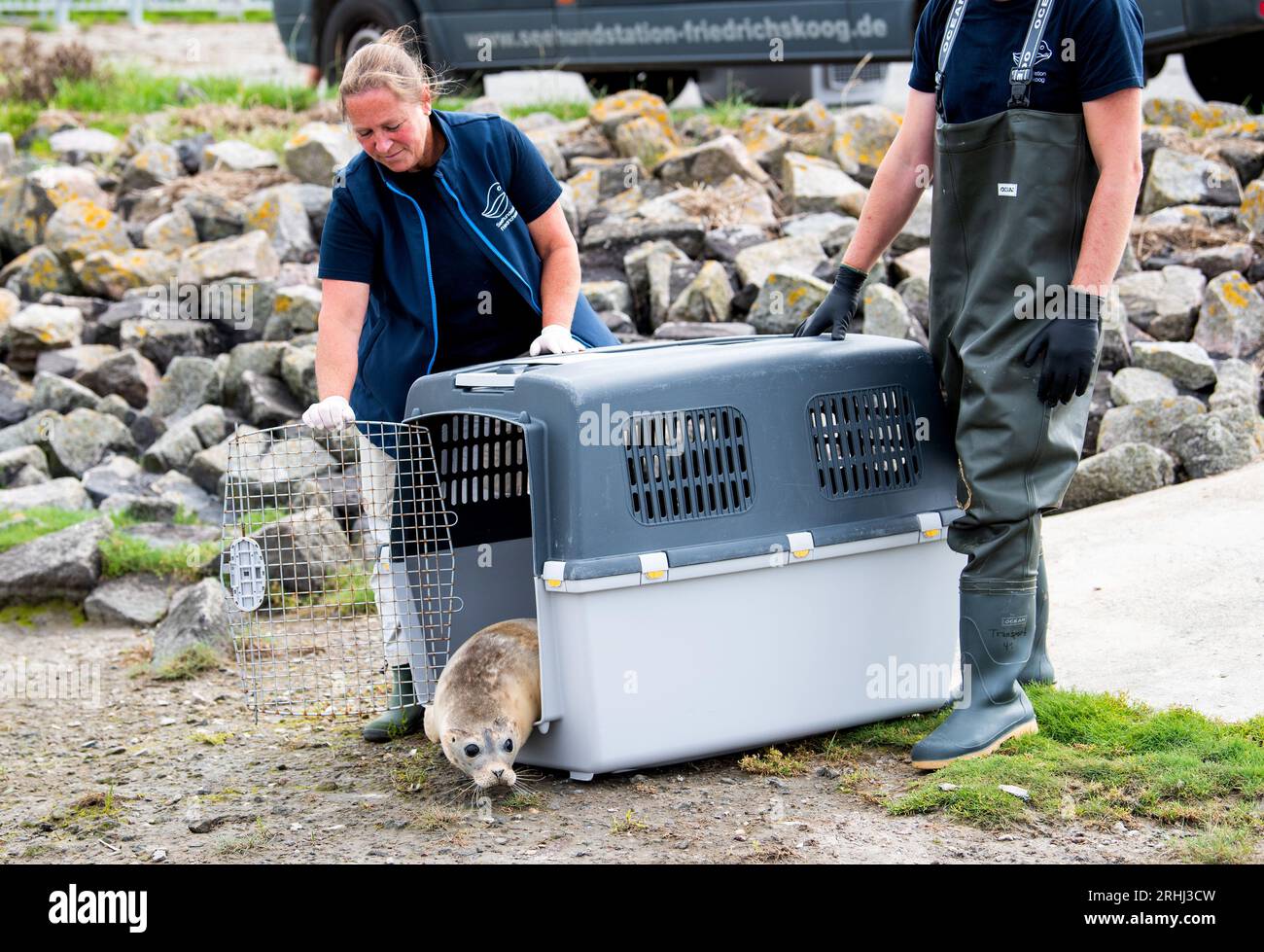 Tanja wild hi-res stock photography and images - Alamy