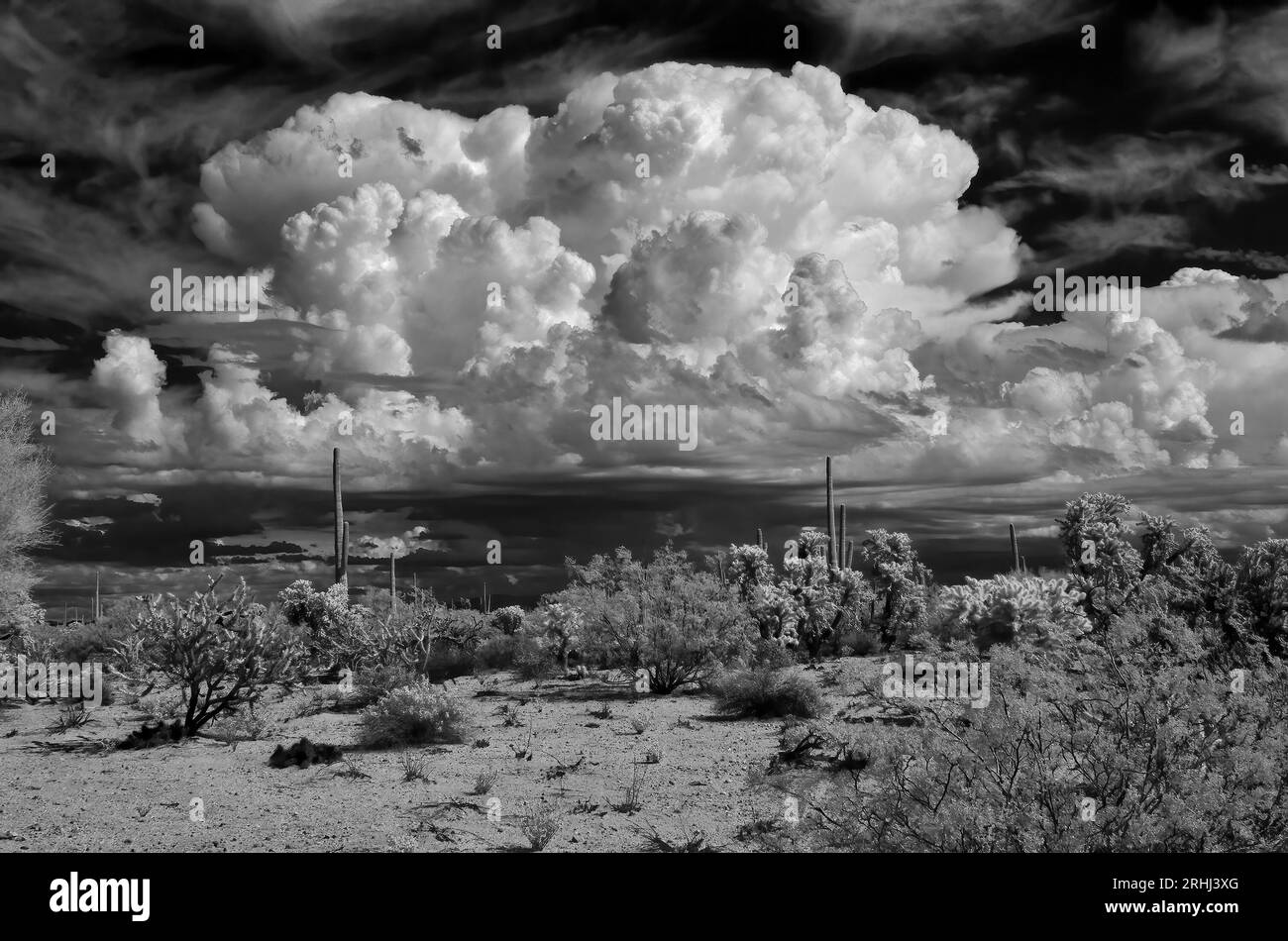 Infrared Sonora desert in central Arizona USA Stock Photo - Alamy