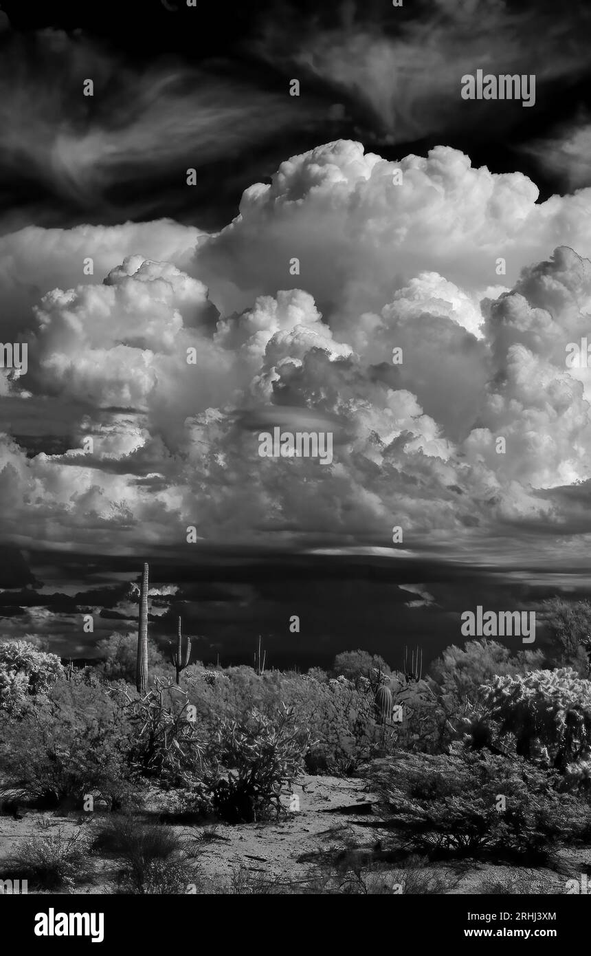 Infrared Sonora desert in central Arizona USA Stock Photo - Alamy