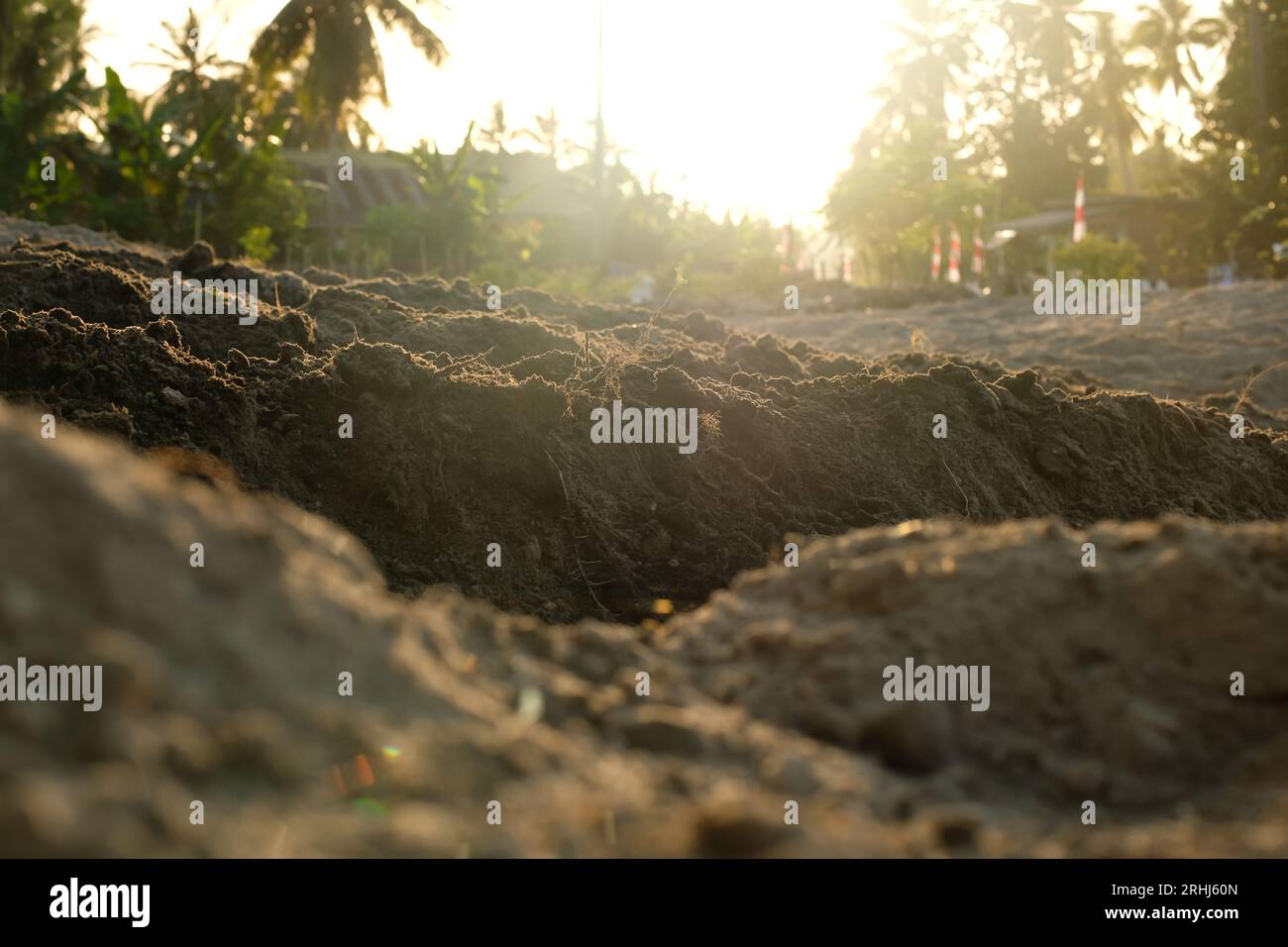Loose soil before planting vegetables, agriculture Stock Photo - Alamy