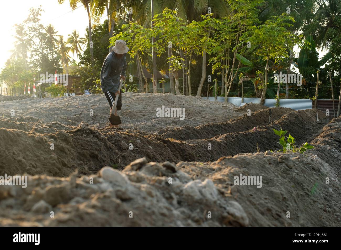 Farmers use hoes while cultivating the land while working on ...
