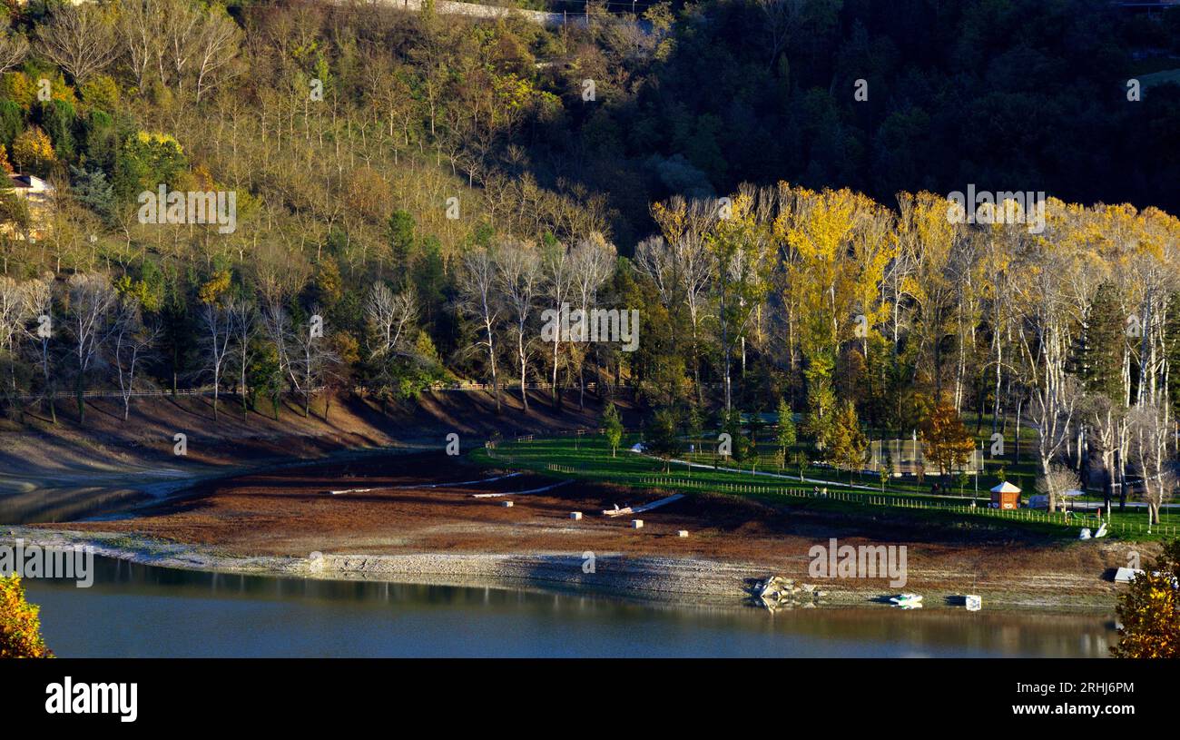 alberi in autunno al lago di Mercatale Stock Photo - Alamy