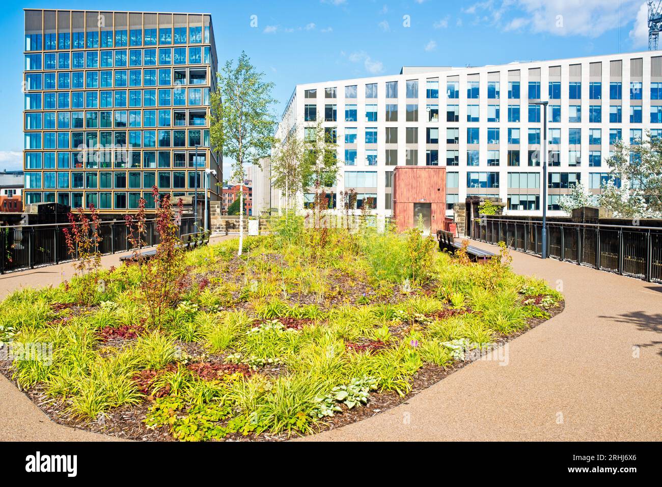 Monk Bridge Viaduct looking towards Wellington Place, nature path ...