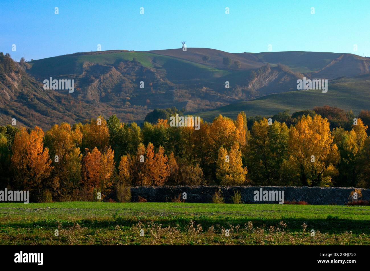 Alberi di collina hi-res stock photography and images - Alamy