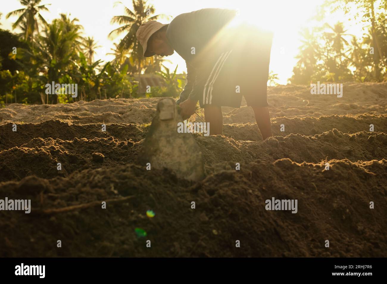 Farmers use hoes while cultivating the land while working on ...