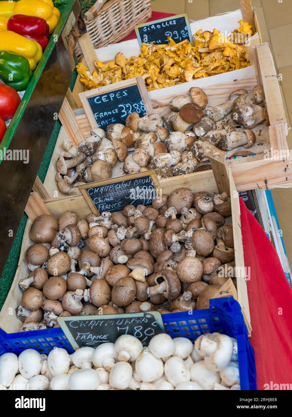 Gastronomic fungi mushroom selection hi-res stock photography and ...