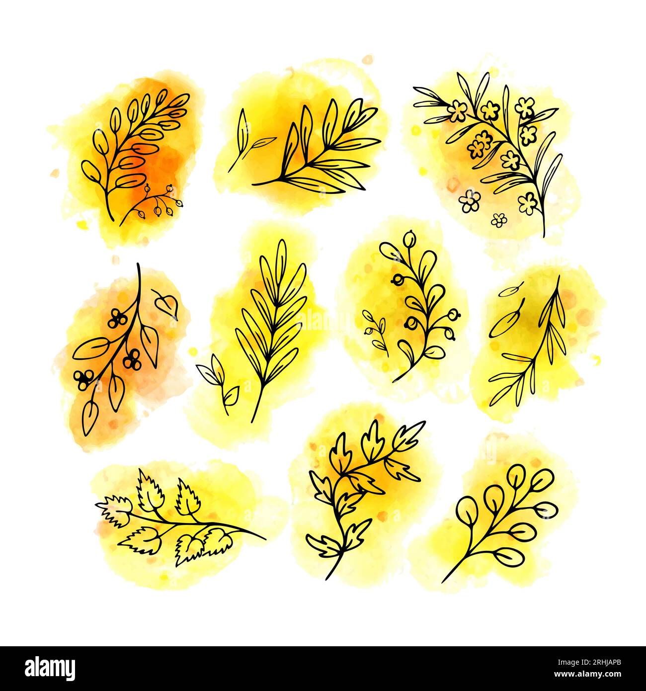 Hand drawn twigs hi-res stock photography and images - Alamy