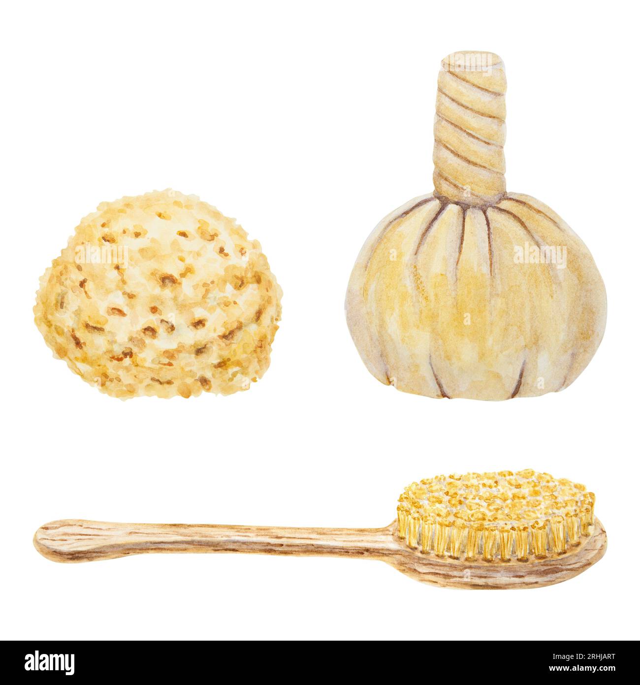 Sea sponge drawing Cut Out Stock Images & Pictures - Alamy