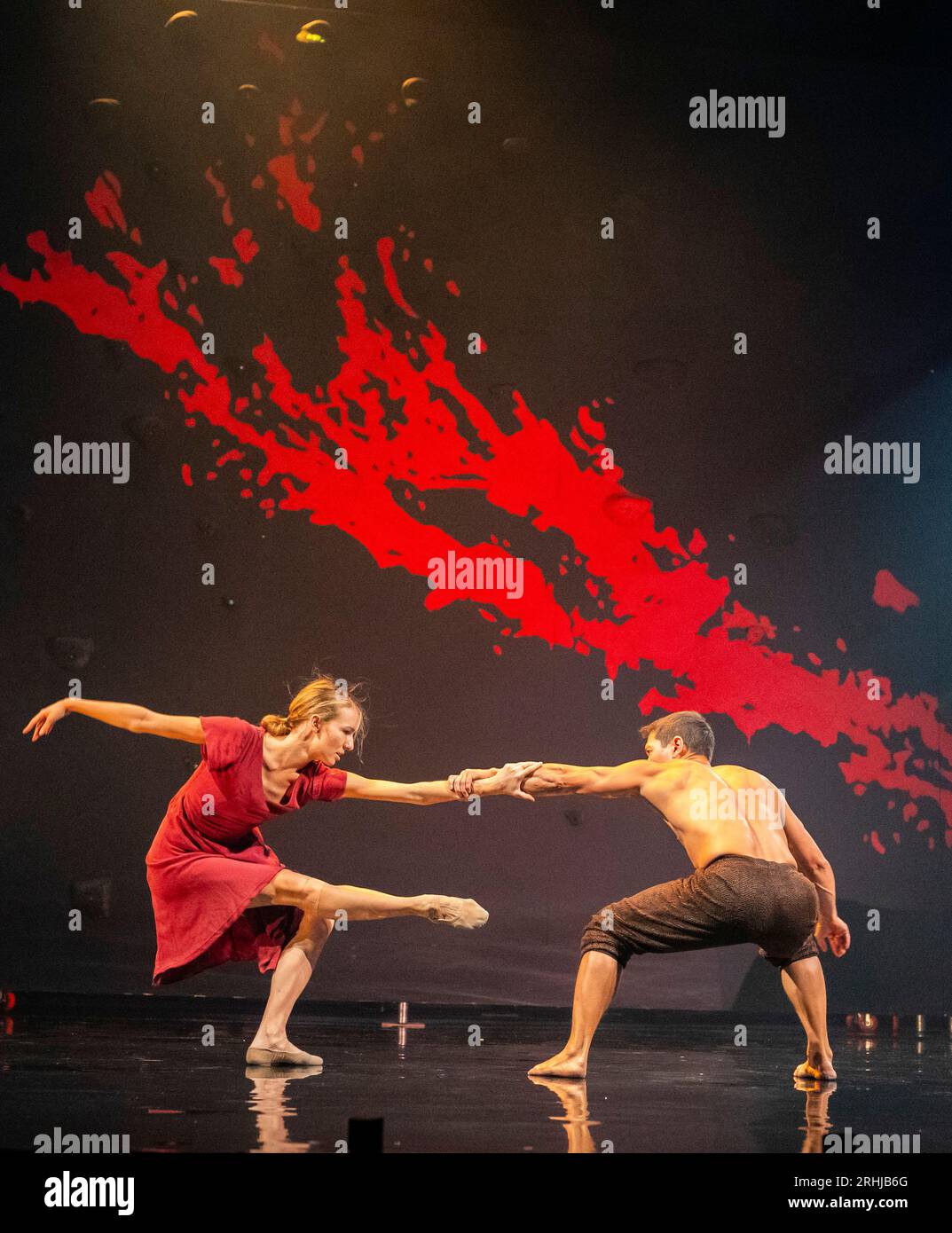 Phaedra minotaur hi-res stock photography and images - Alamy