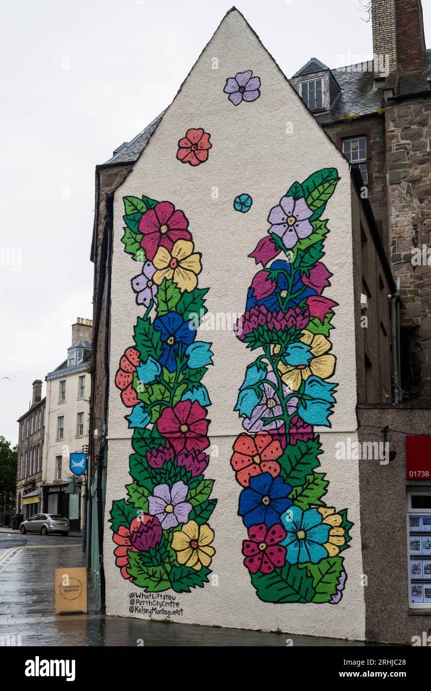 Perth Flower Wings mural in Bridge Lane, Perth. Part of the worldwide ...