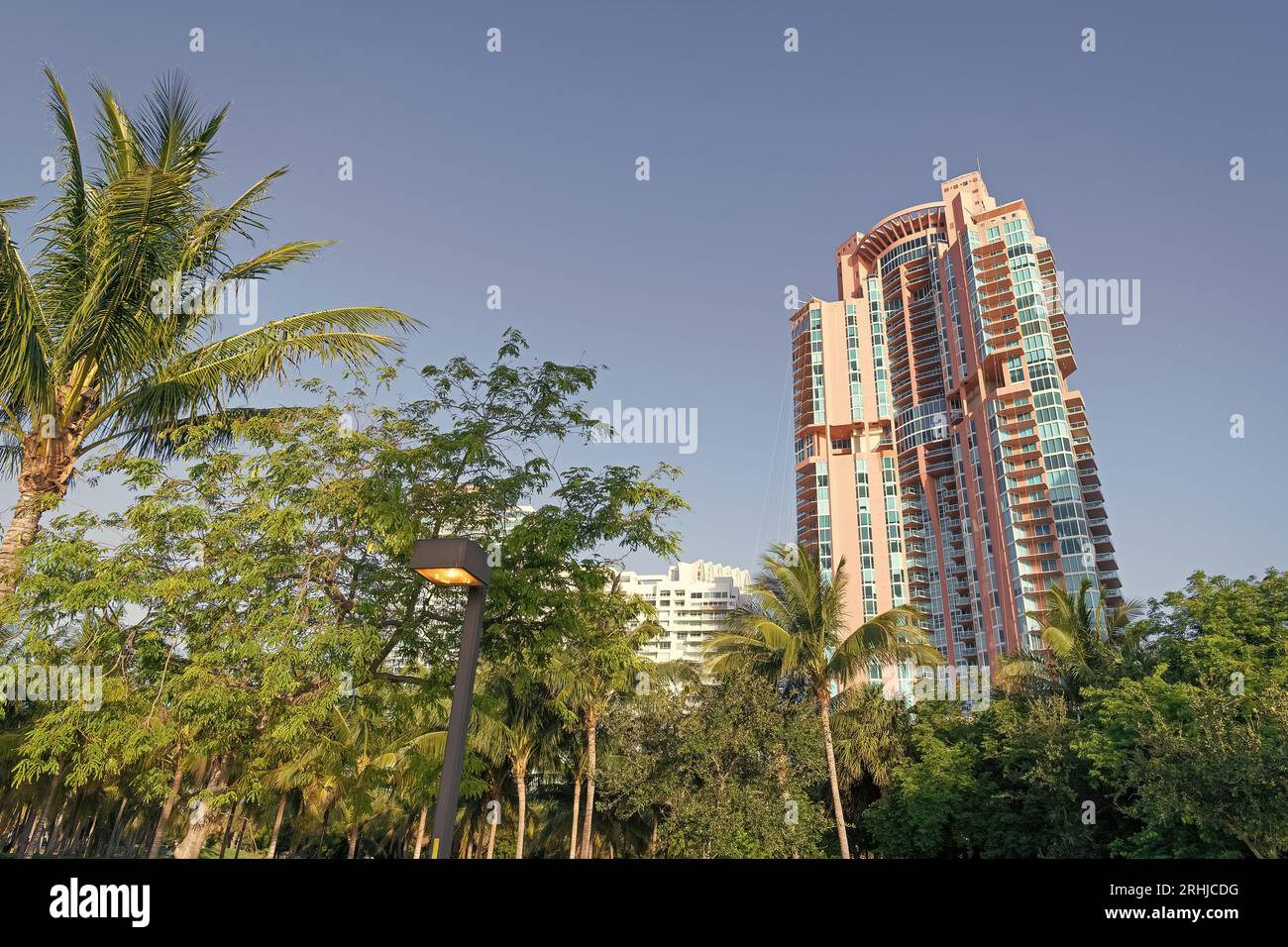 skyscraper architecture outdoor with palms. skyscraper architecture in ...