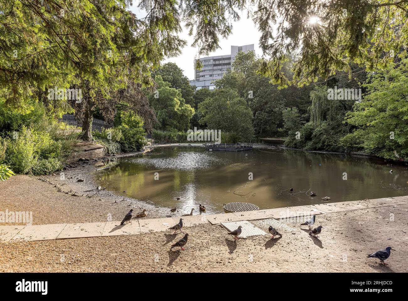 Bromley, London, England, UK Stock Photo - Alamy
