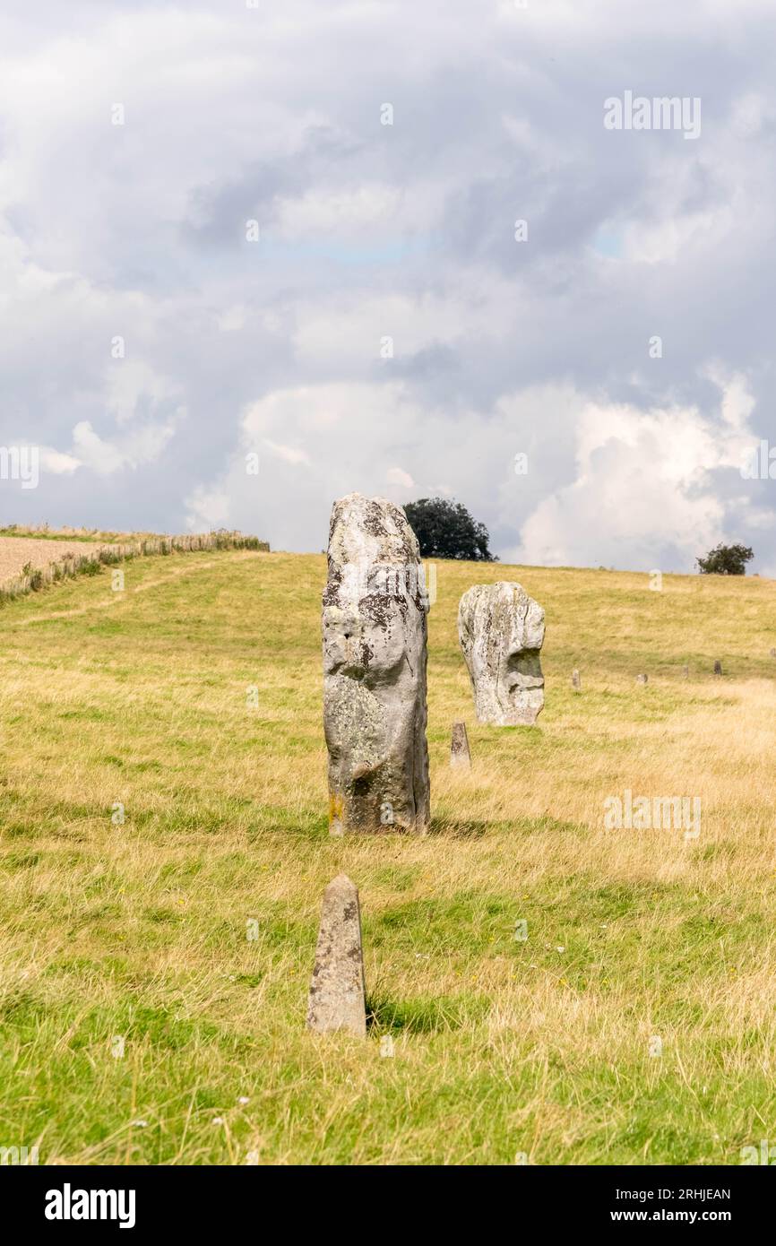 Stones along the West Kennet Avenue, a parallel line of standing stones ...
