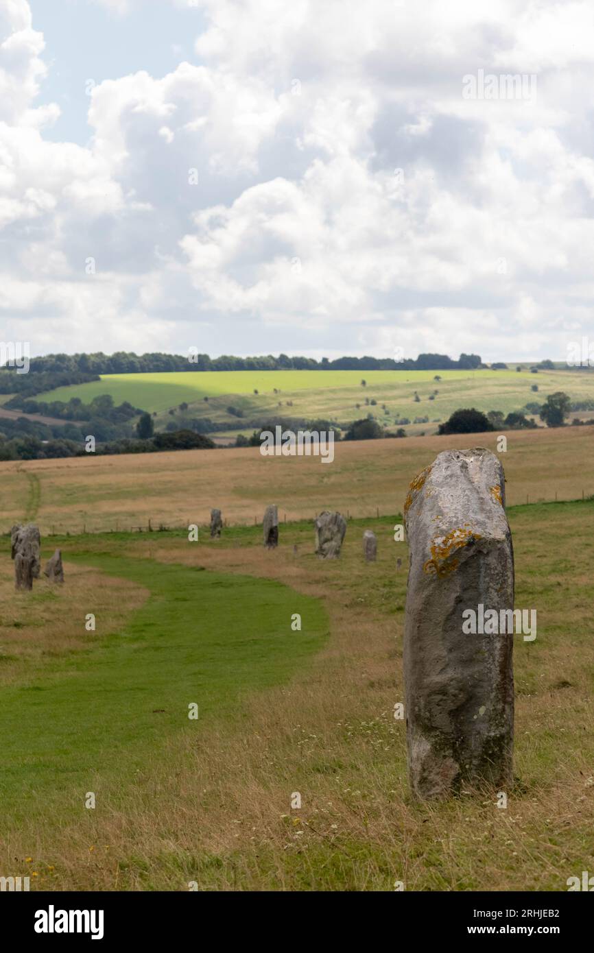 Stones along the West Kennet Avenue, a parallel line of standing stones ...