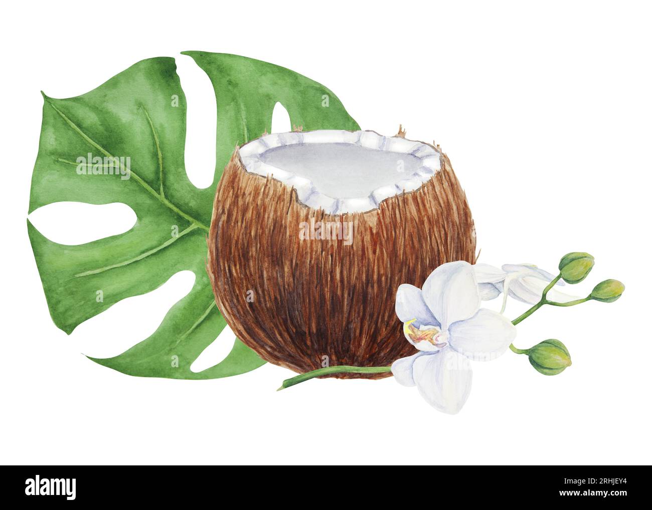 Broken Coconut Painting