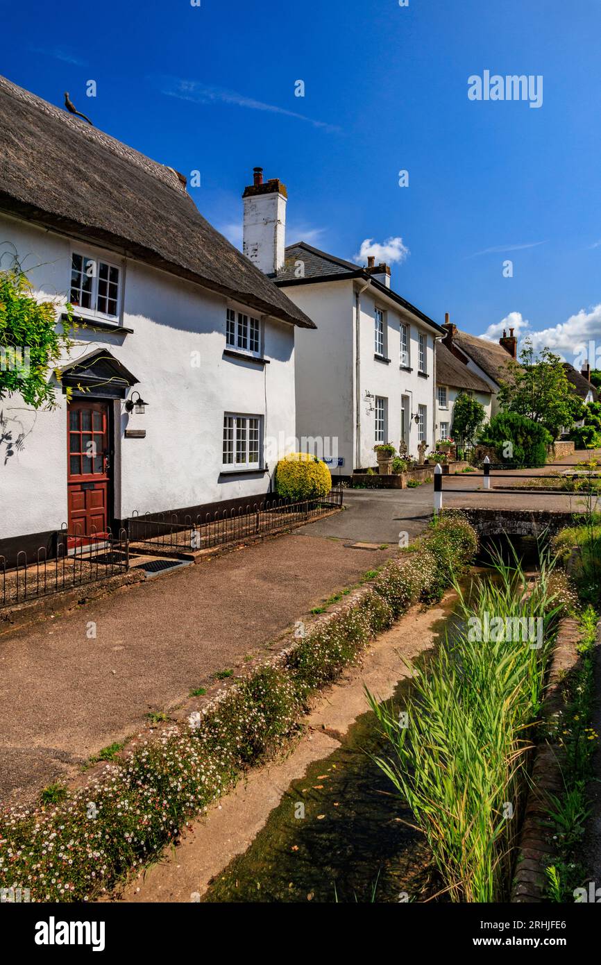 Thatched cottage and well maintained gardens line the main street in ...
