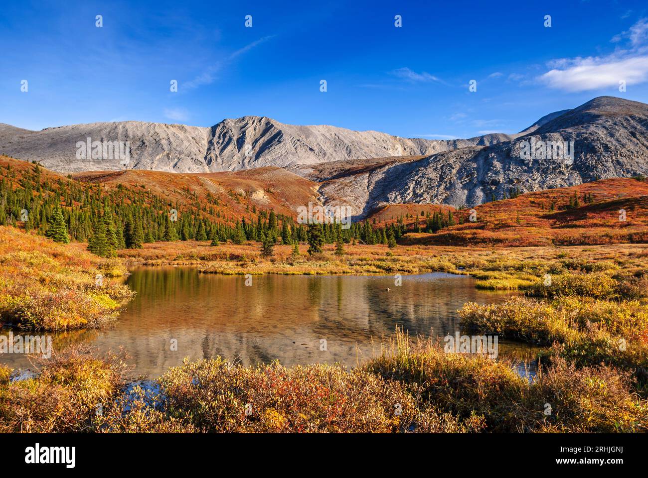 Autumn colours at Stone Mountain Provincial Park in the northern Rocky ...