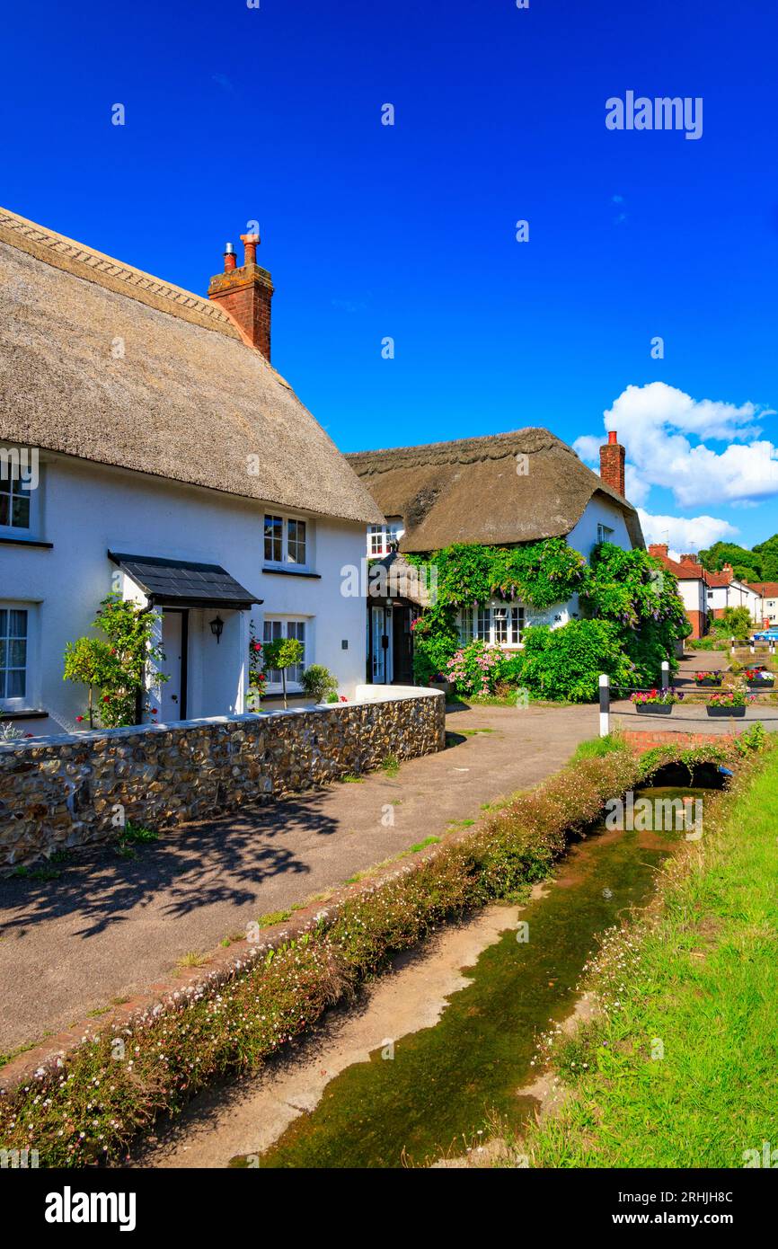 Thatched cottages in the main street in Otterton, Devon, England, UK ...