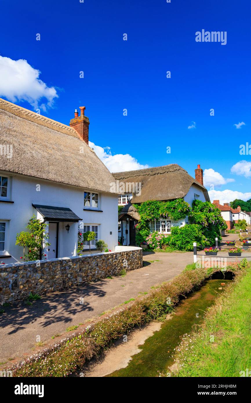 Thatched cottages in the main street in Otterton, Devon, England, UK ...