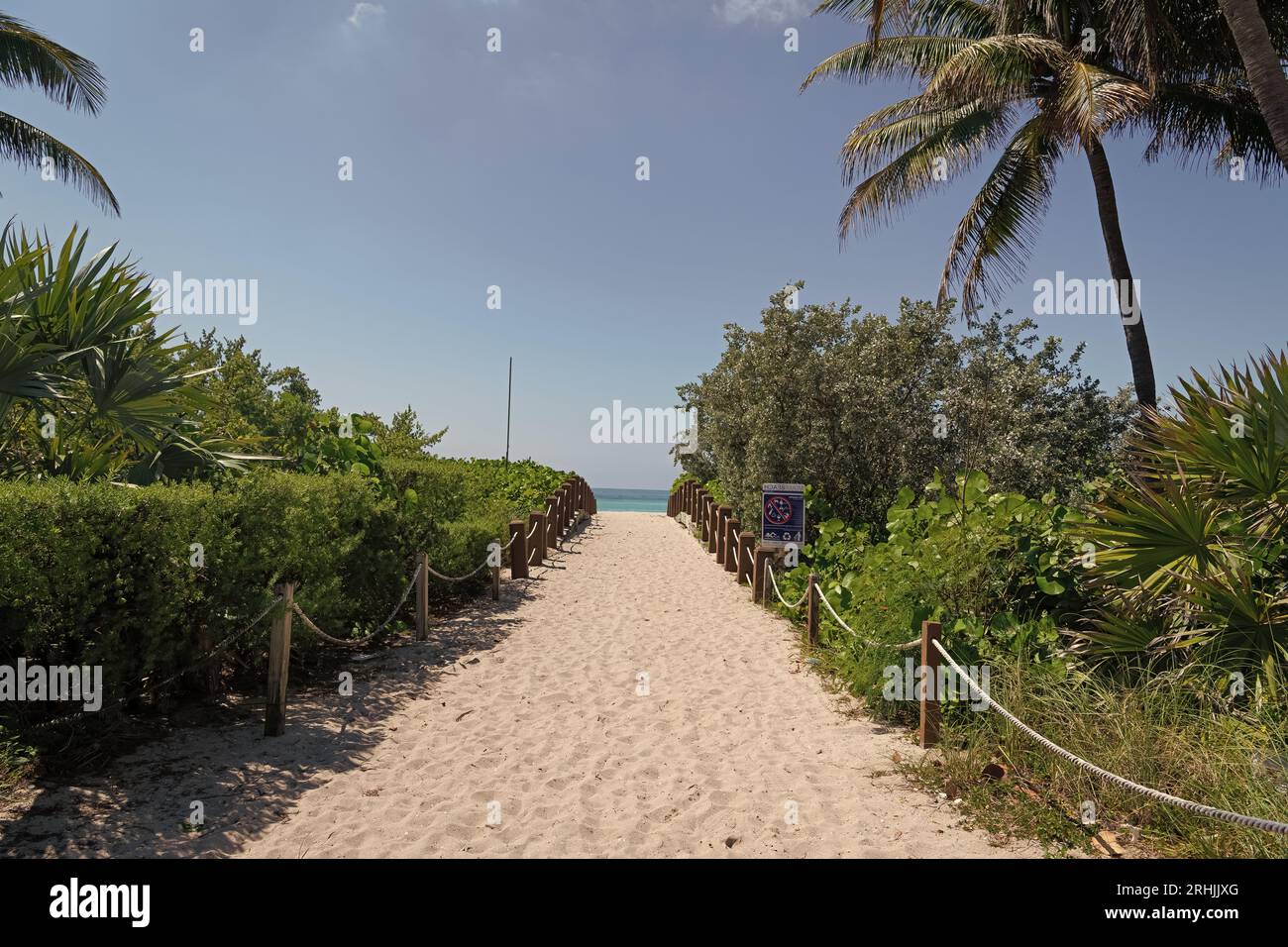 empty road pathway outdoor in summertime. way pathway alley. photo of ...