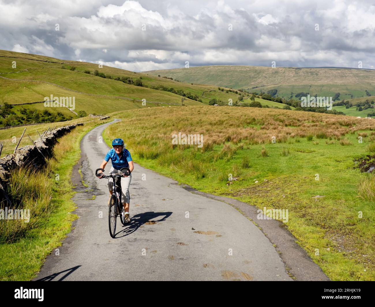 White shaw moss hi-res stock photography and images - Alamy