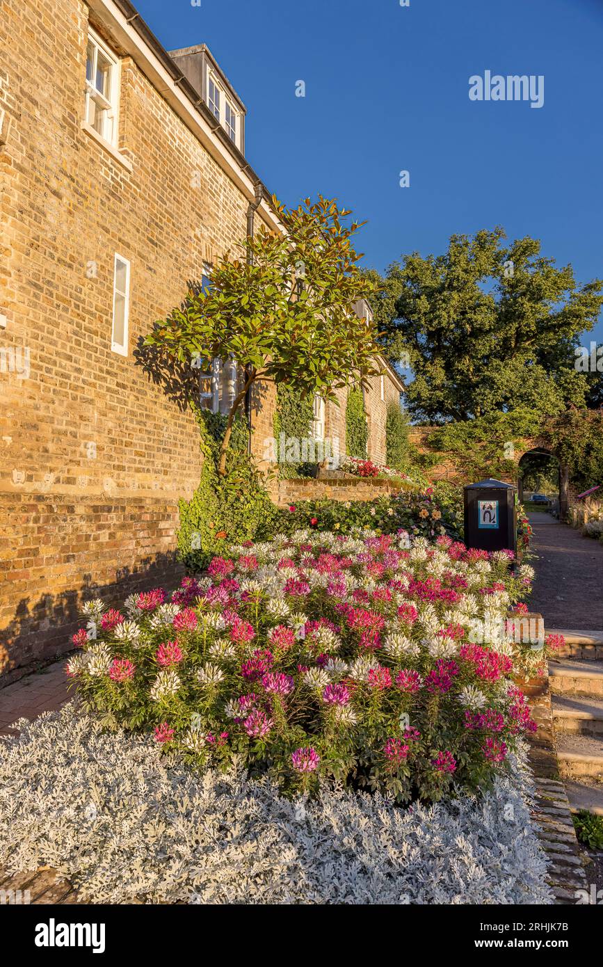 Bromley, London, England, UK Stock Photo - Alamy