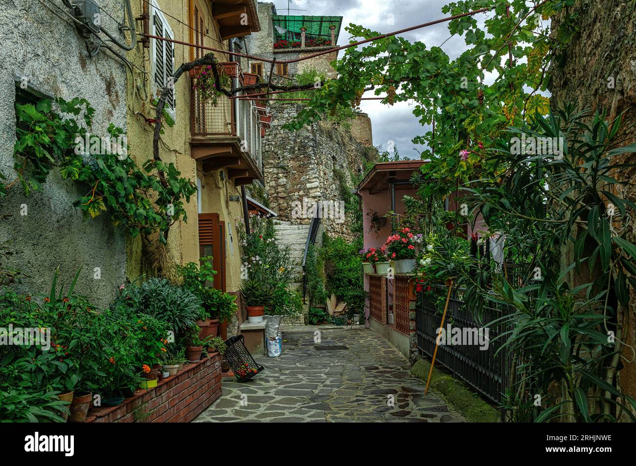 Courtyards and small squares transformed into gardens with plants ...