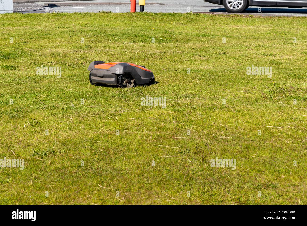 Robot lawn mower mows the grass in a city park Stock Photo - Alamy