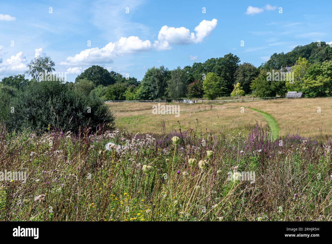 Furzey Gardens, a visitor attraction in the New Forest National Park ...