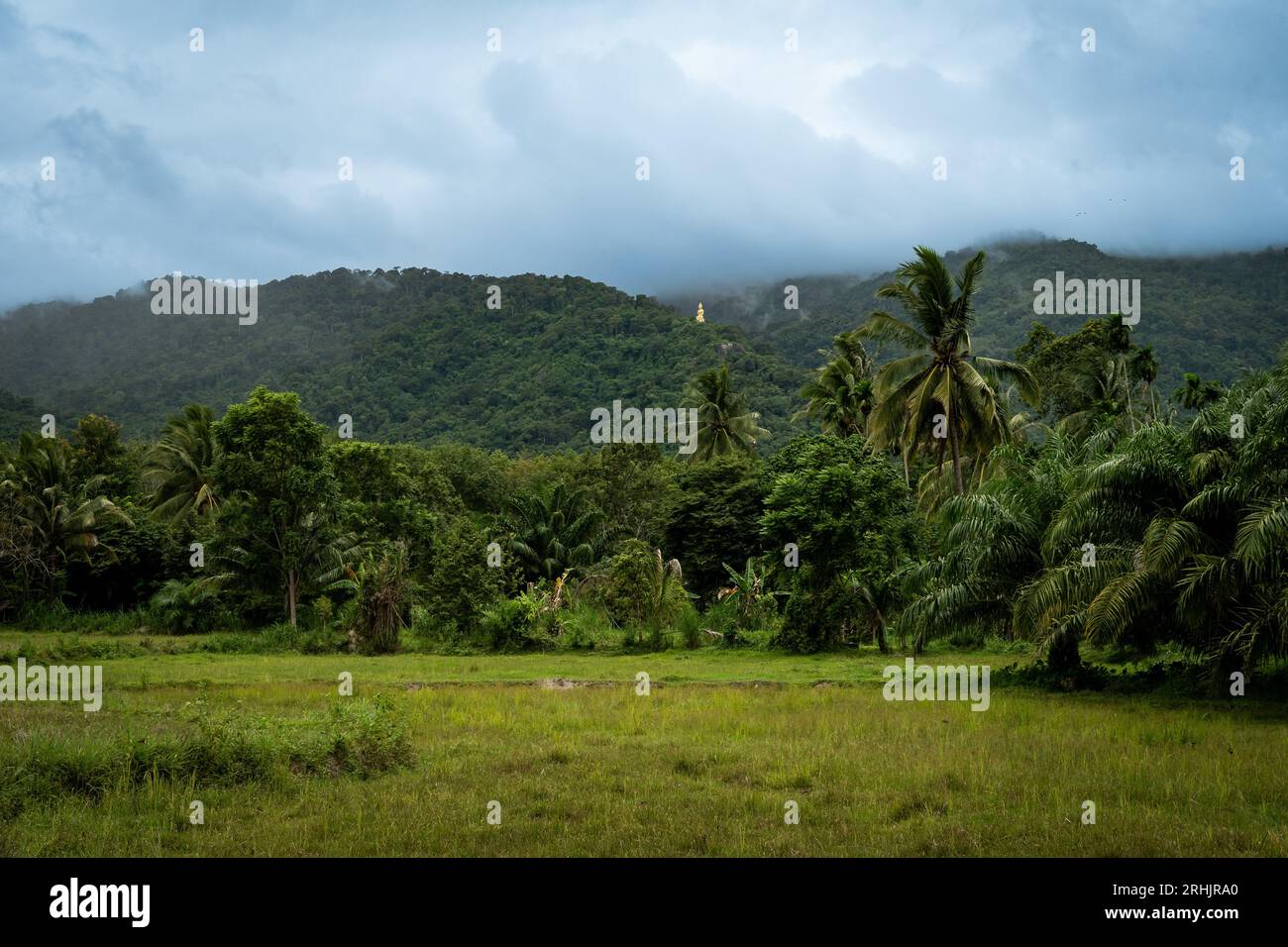 Pattani, Thailand. 16th Aug, 2023. A large Buddha statue is seen in the ...