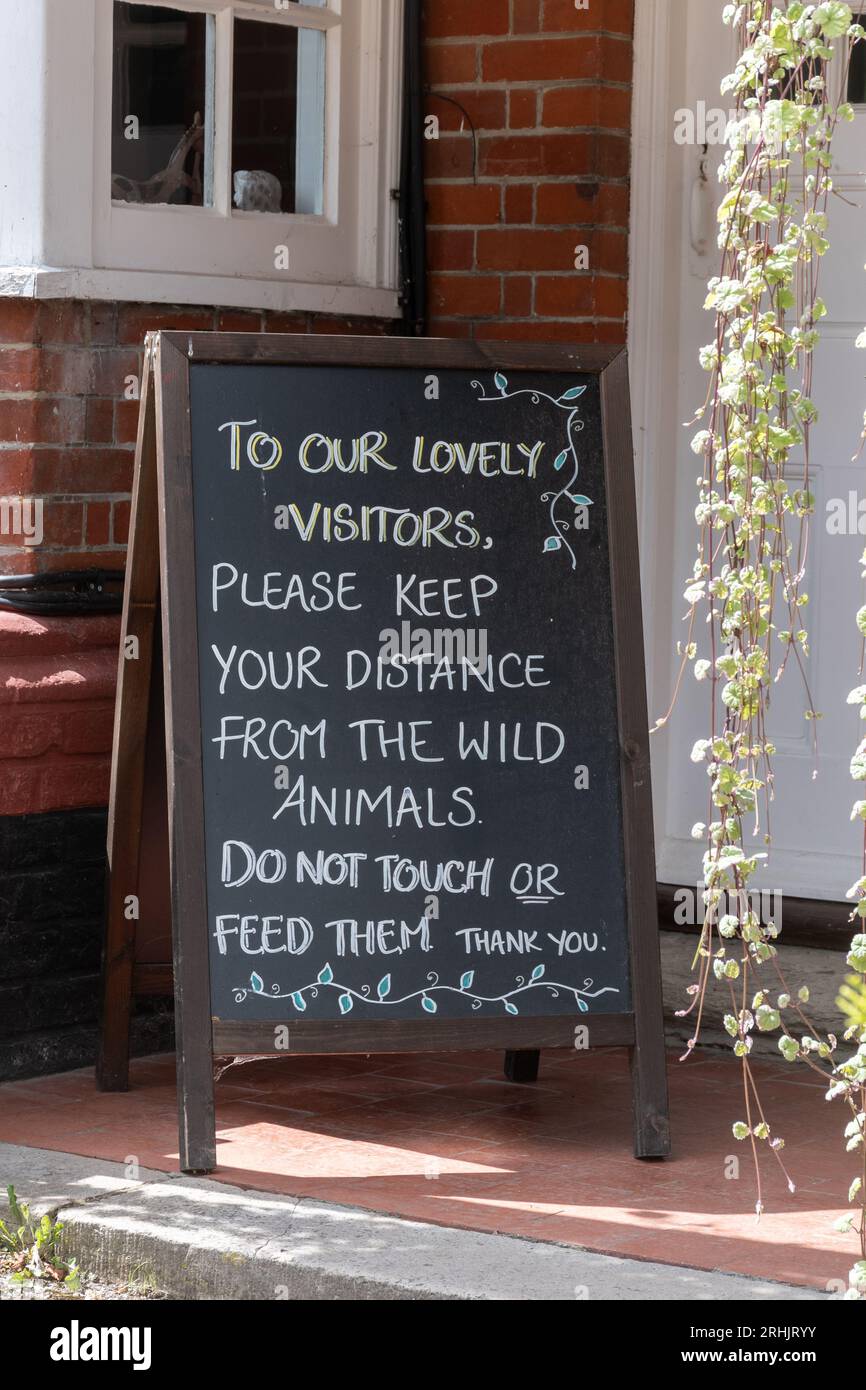 Please keep your distance from the wild animals hi-res stock ...