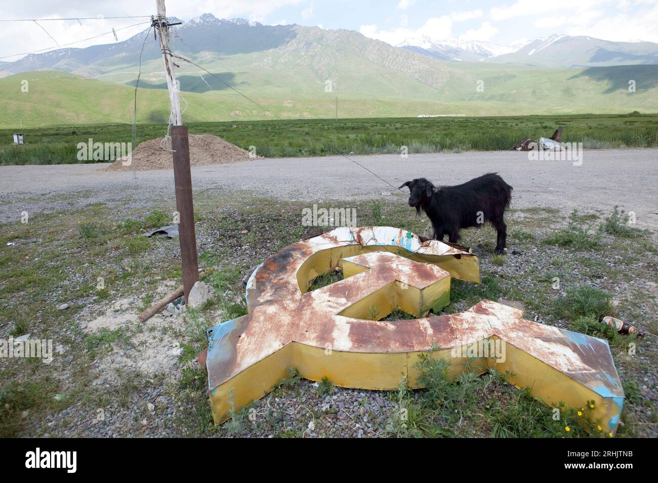 A goat is tied to a hammer and sickle, the Soviet symbol, in Kyrgyzstan ...