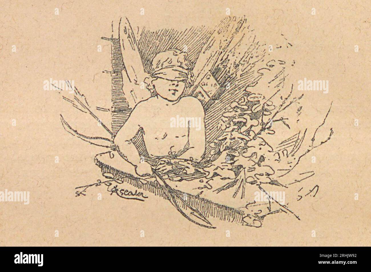 Celestina la hi-res stock photography and images - Alamy