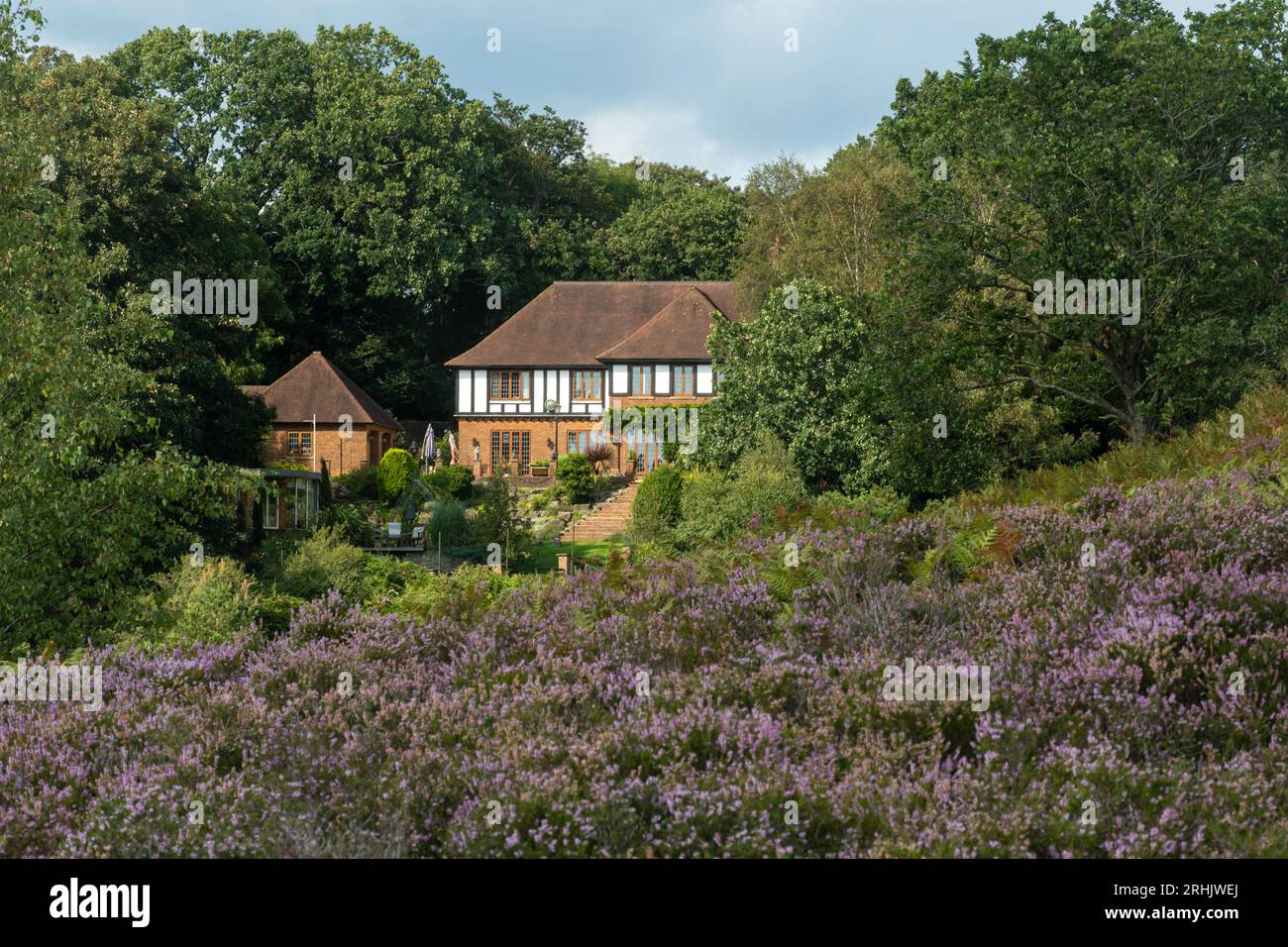 Large house or property in the New Forest National Park next to heather ...