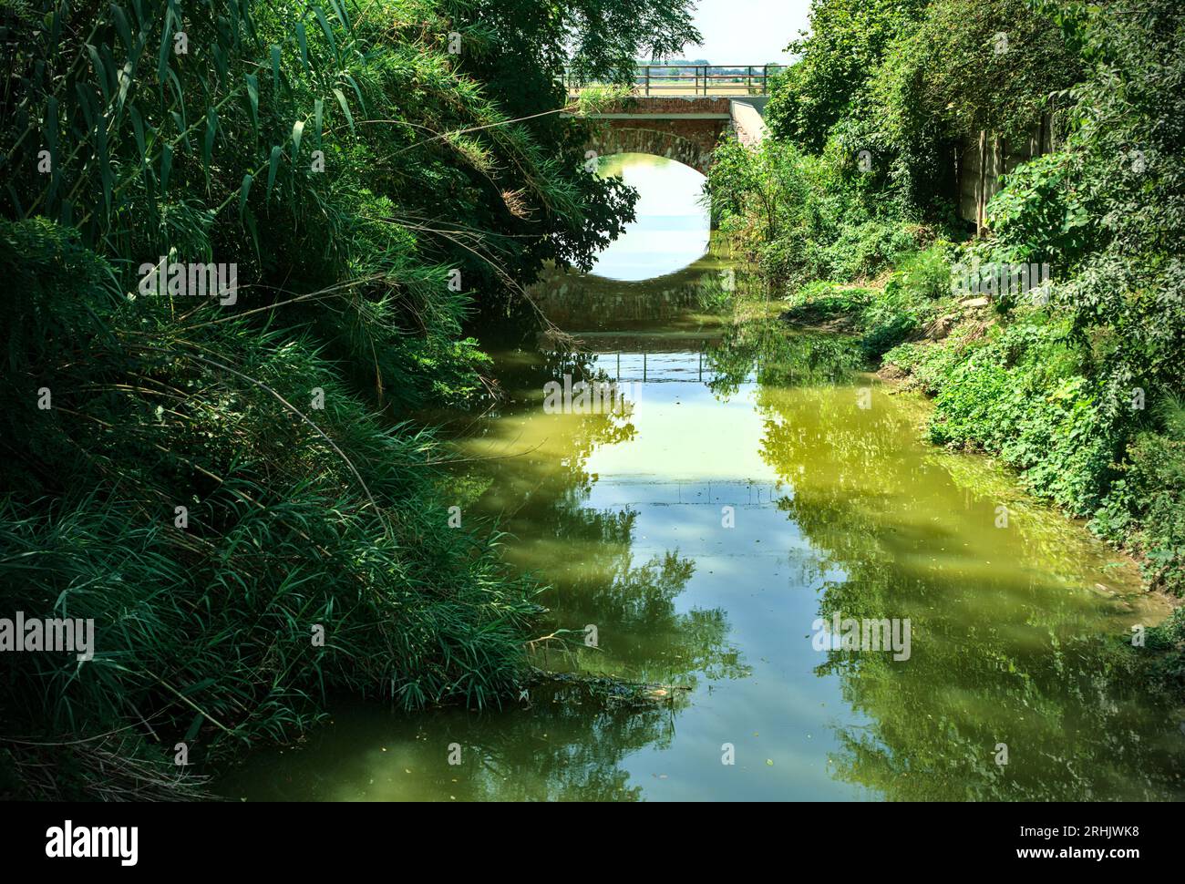 Trees and bridge hi-res stock photography and images - Alamy