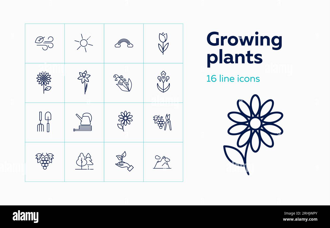 Growing plants icons Stock Vector Image & Art - Alamy