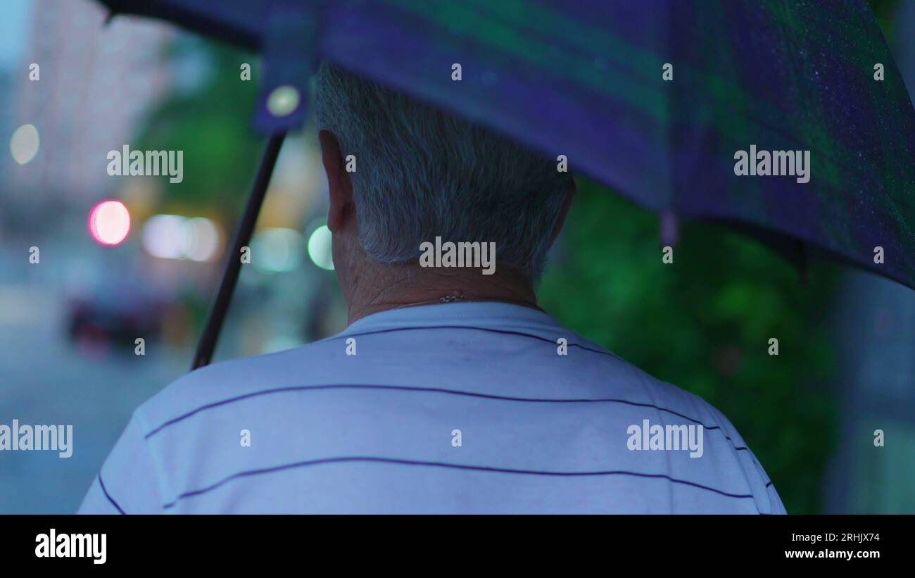 Back of senior man walking in street holding umbrella during rainy day ...