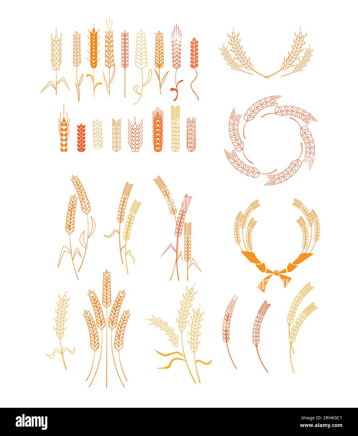 Grain ears set Stock Vector Image & Art - Alamy