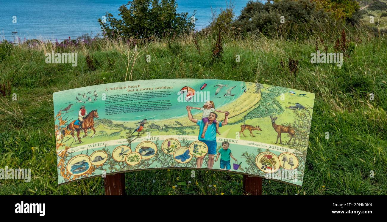 Signs with information about Gullane Beach, and local area Gullane ...