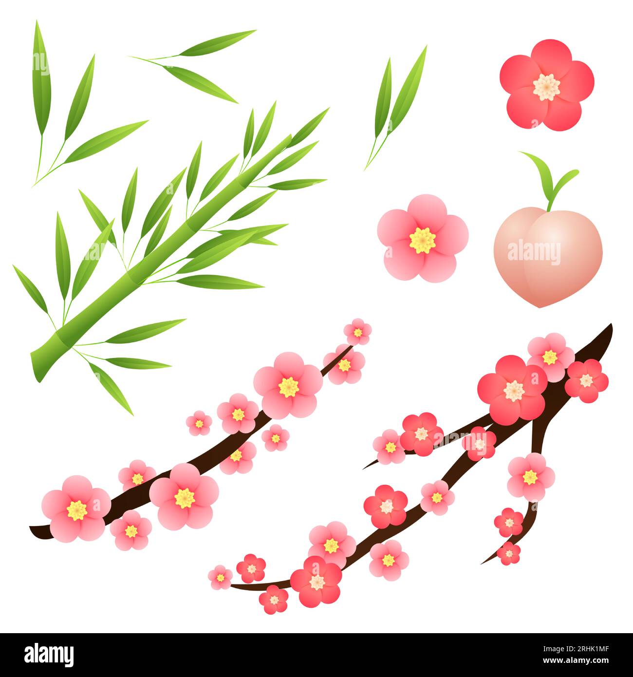 Peach blossom bud Stock Vector Images - Alamy