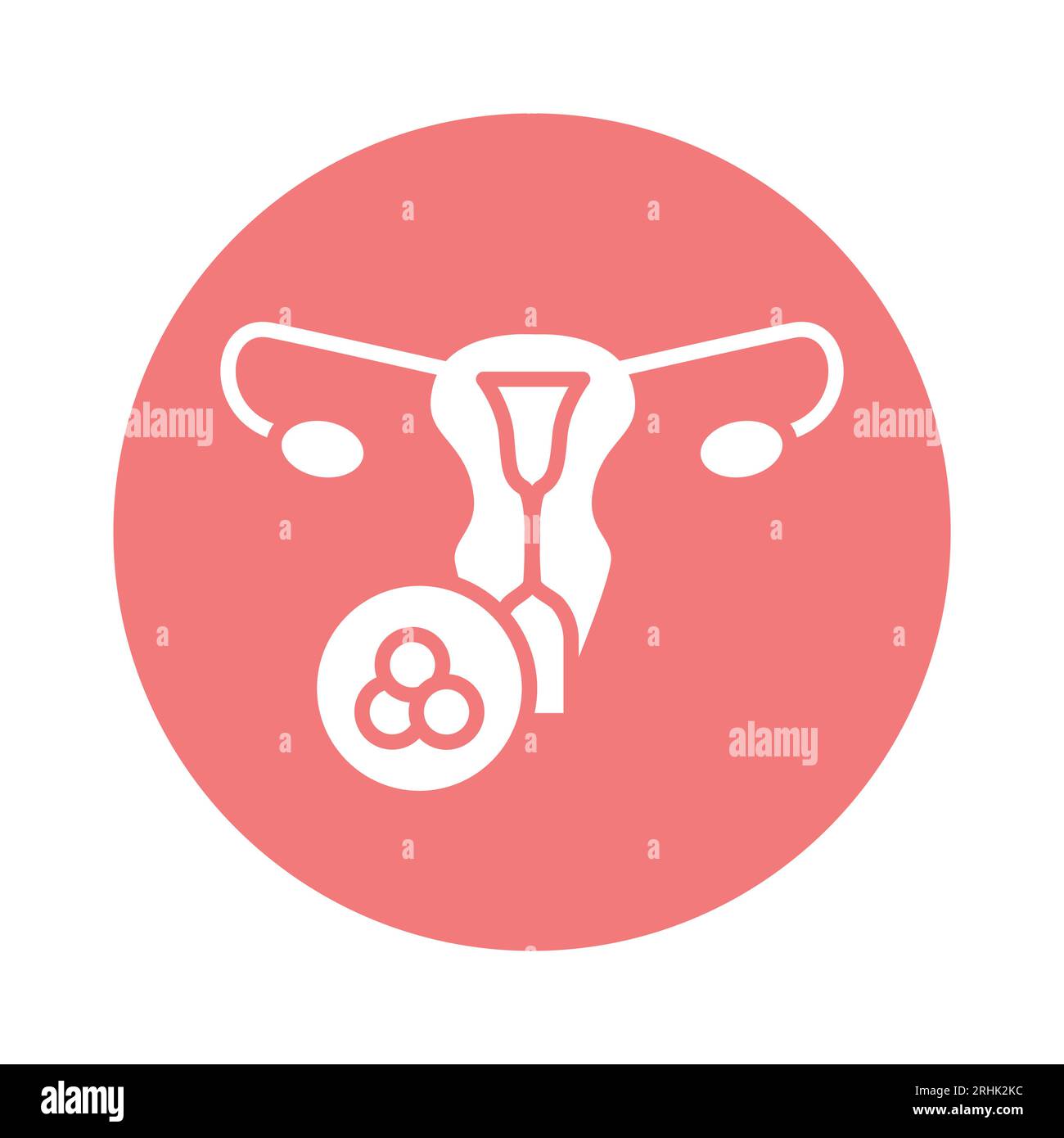 Candida albicans Stock Vector Images - Alamy