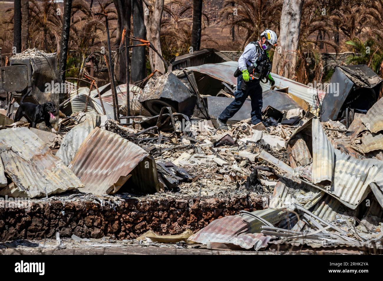 Lahaina, United States. 15 August, 2023. A member of the combined Joint ...