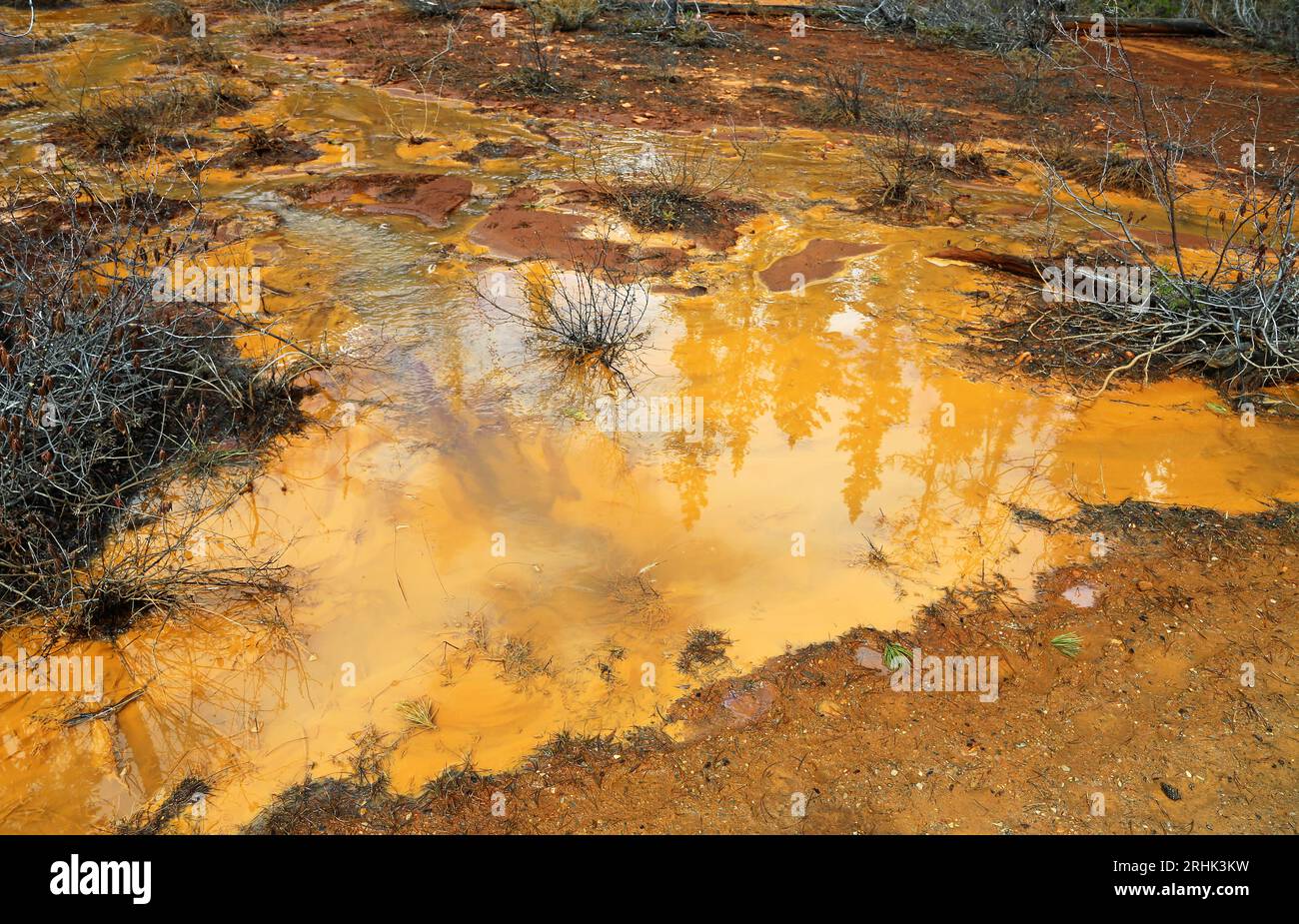 Yellow mud - Kootenay NP, Canada Stock Photo - Alamy