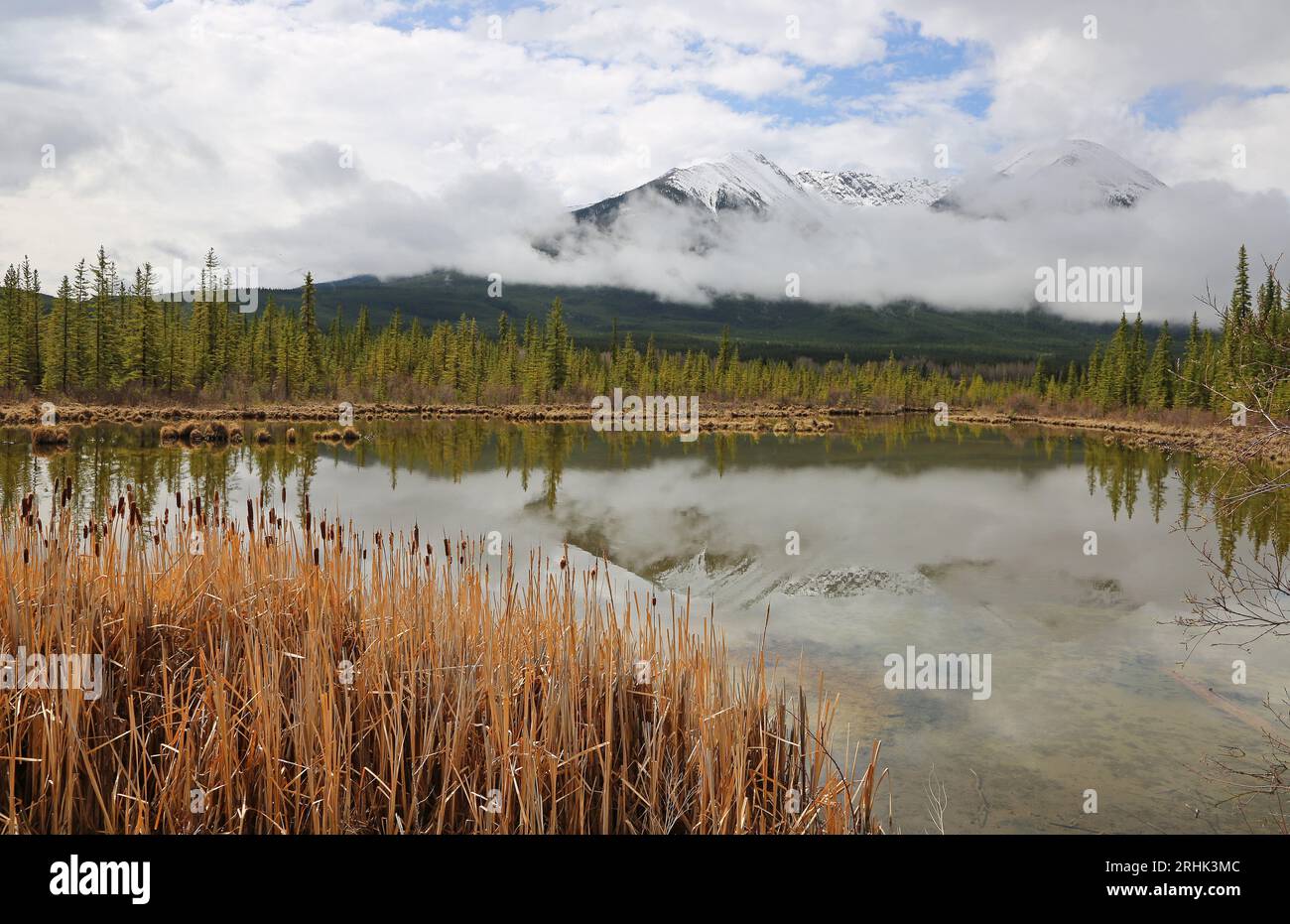 Banff National Park - Vermilion Lakes, Canada Stock Photo - Alamy
