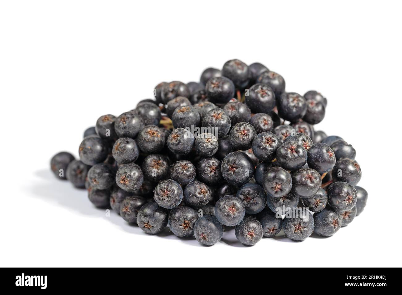 Aronia berries isolated against white background Stock Photo - Alamy