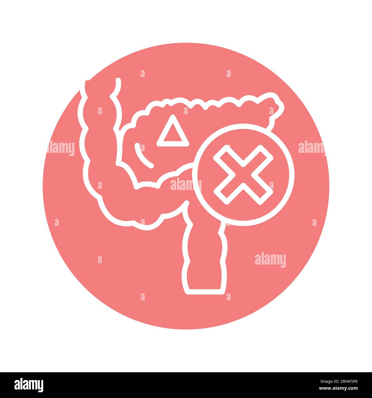 Pancreatic vector vectors Stock Vector Images - Alamy