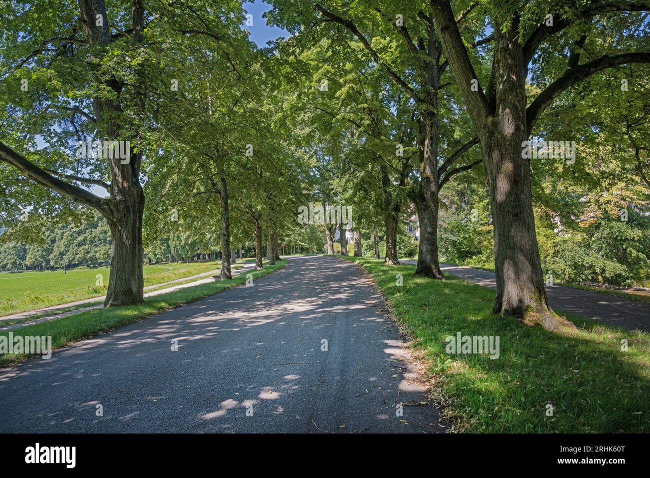 The famous Lichtentaler Allee in Baden Baden. Where emperors and czars ...