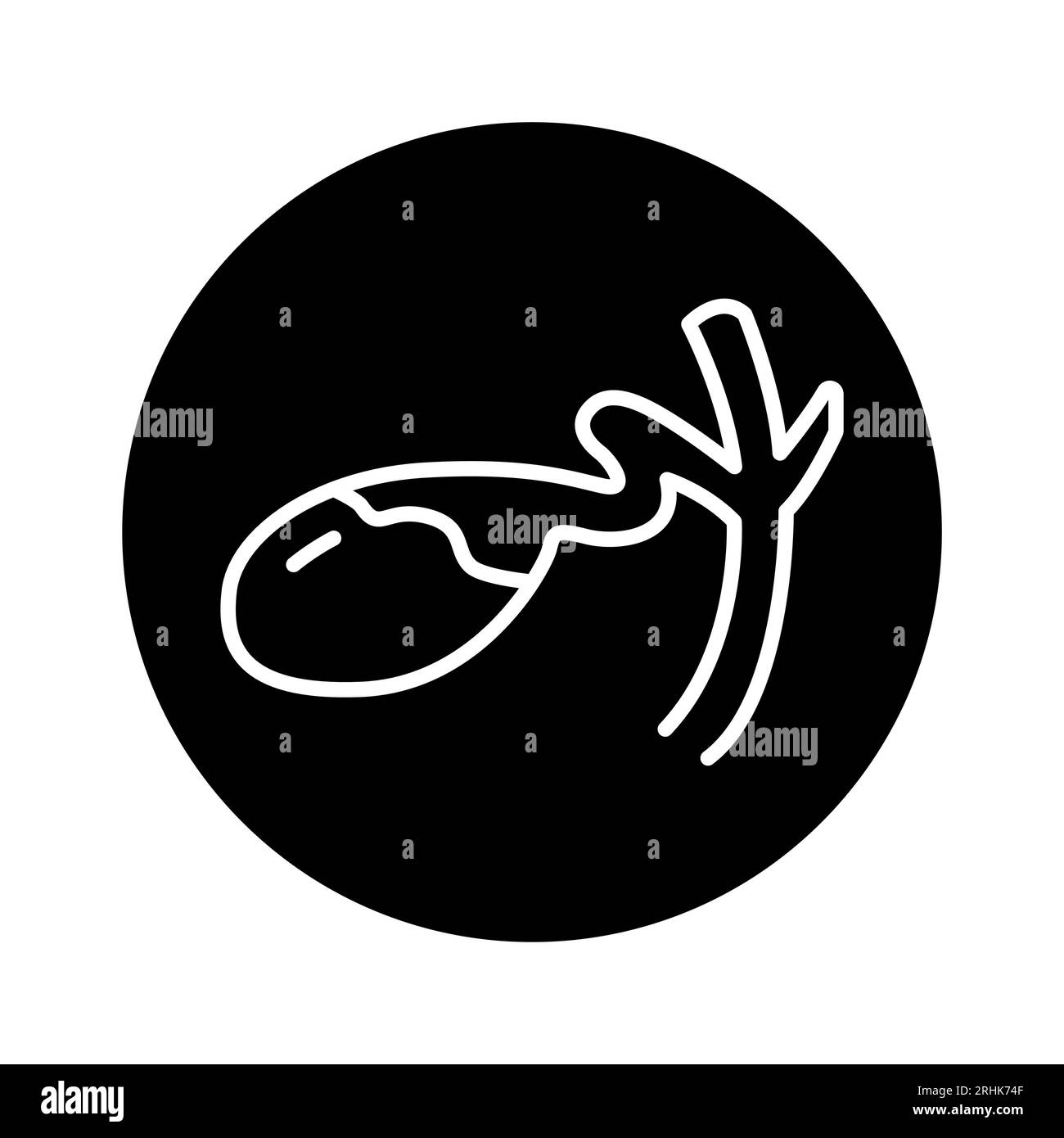 Human gallbladder anatomy Black and White Stock Photos & Images - Alamy